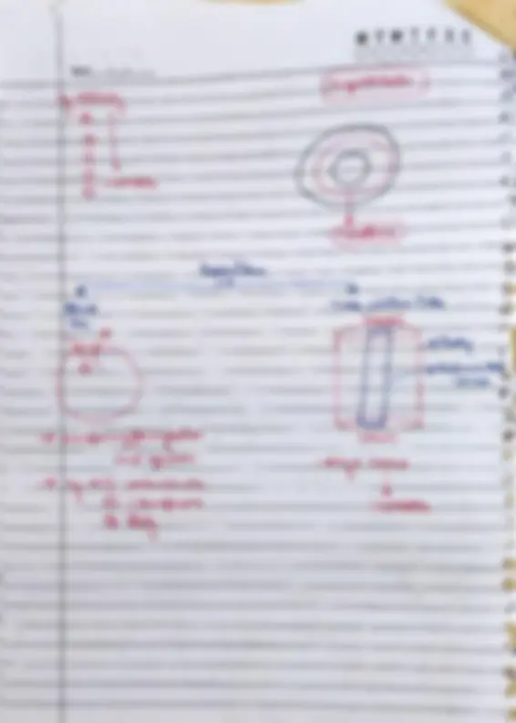 Animal Kingdom (Neet Short notes) | Cheat Sheet Biology | Docsity