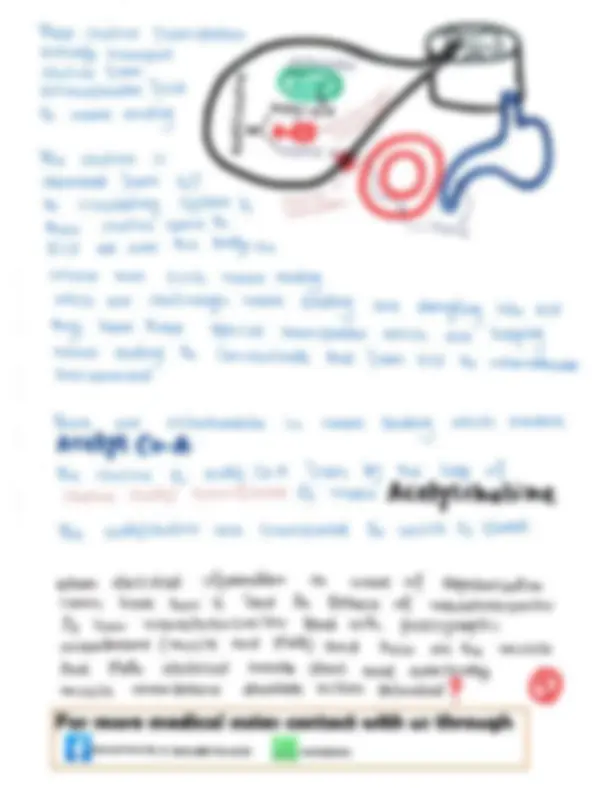 Neuromuscular junction transmission | Study notes Biology | Docsity