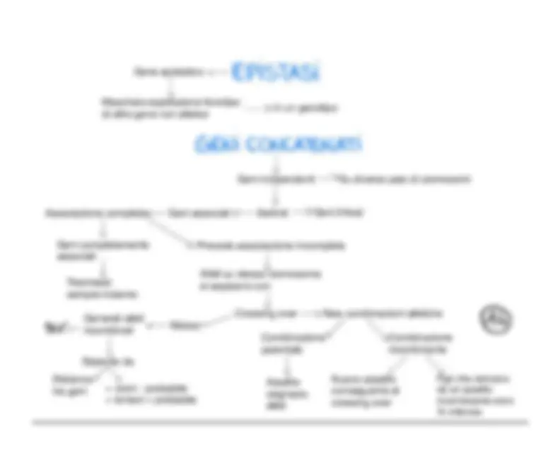 mappe concettuali genetica DSA | Schemi e mappe concettuali di Genetica ...