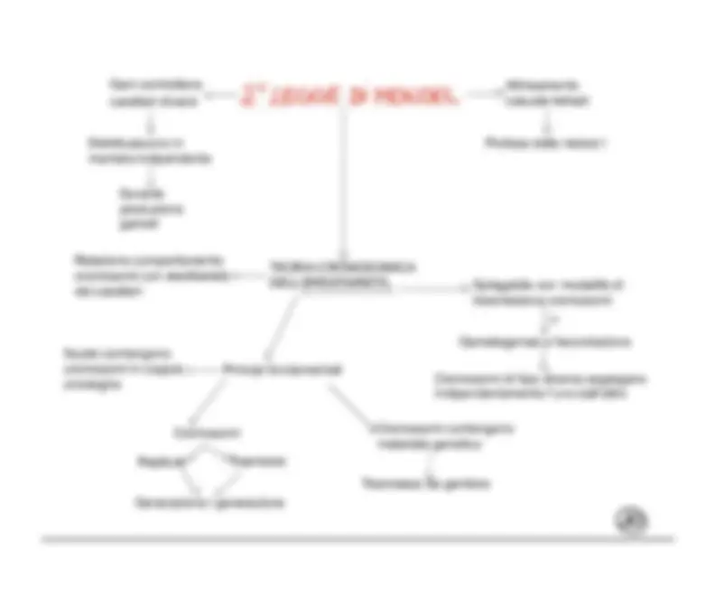 mappe concettuali genetica DSA | Schemi e mappe concettuali di Genetica ...
