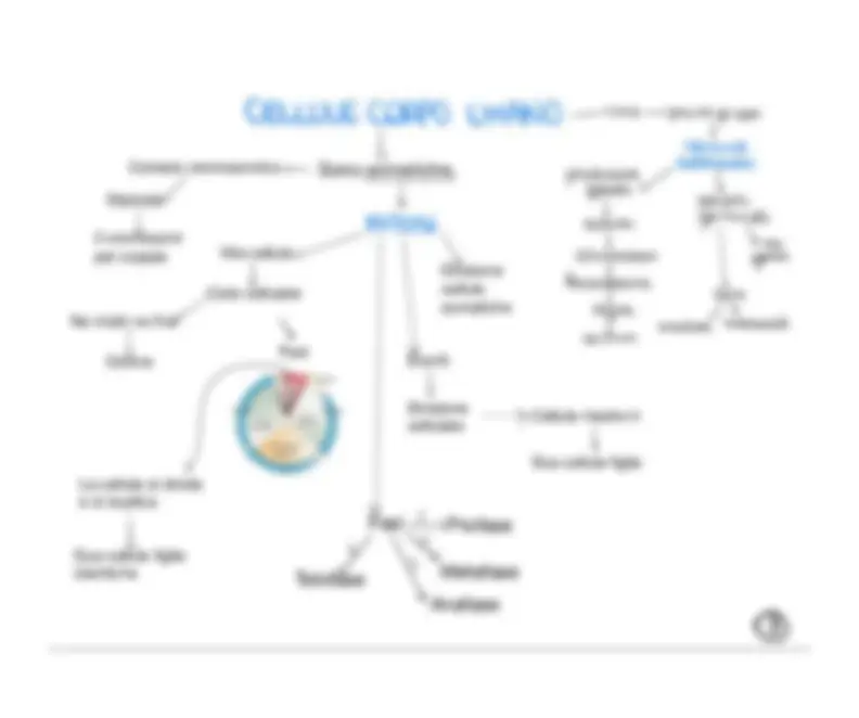 mappe concettuali genetica DSA | Schemi e mappe concettuali di Genetica ...