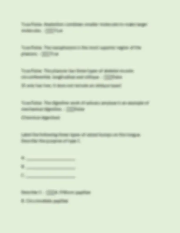 A&P 1 101 Module 3 Digestive system exam Questions and Answers- Portage ...