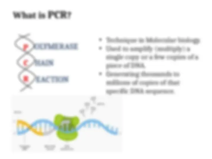 Polymerase Chain Reaction (PCR): A Comprehensive Guide for Students ...
