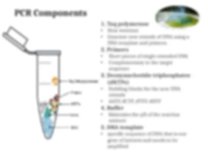 Polymerase Chain Reaction (PCR): A Comprehensive Guide for Students ...