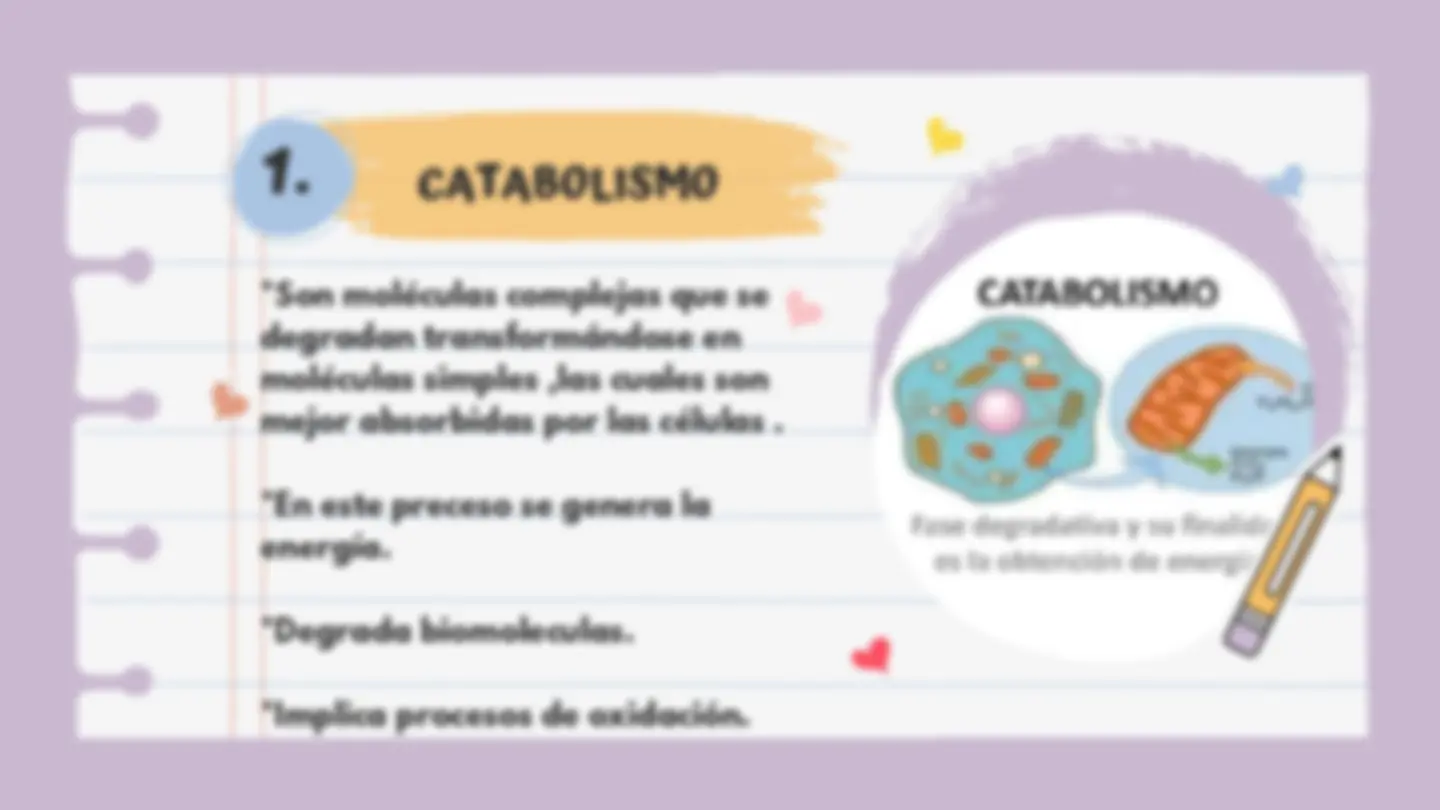 Metabolismo anabolismo y catabolismo | Diapositivas de Biología | Docsity