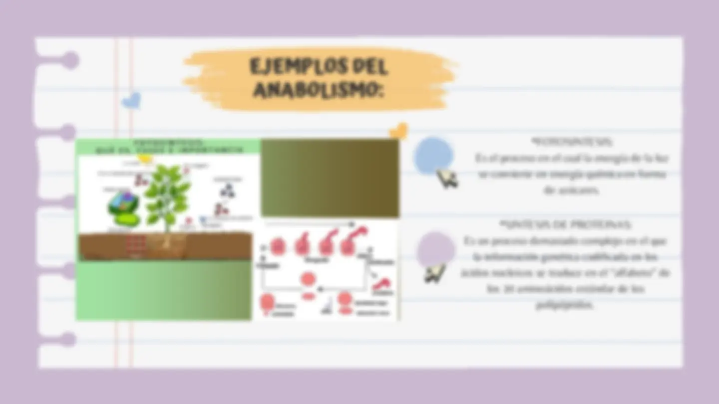 Metabolismo anabolismo y catabolismo | Diapositivas de Biología | Docsity