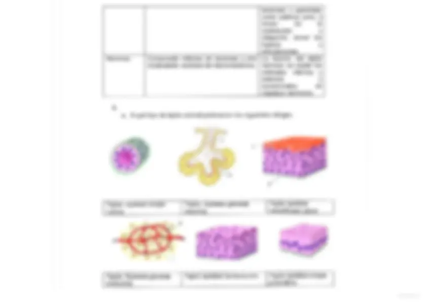 Solucionario cuestionario tejidos animales | Ejercicios de Biología Celular y Molecular | Docsity