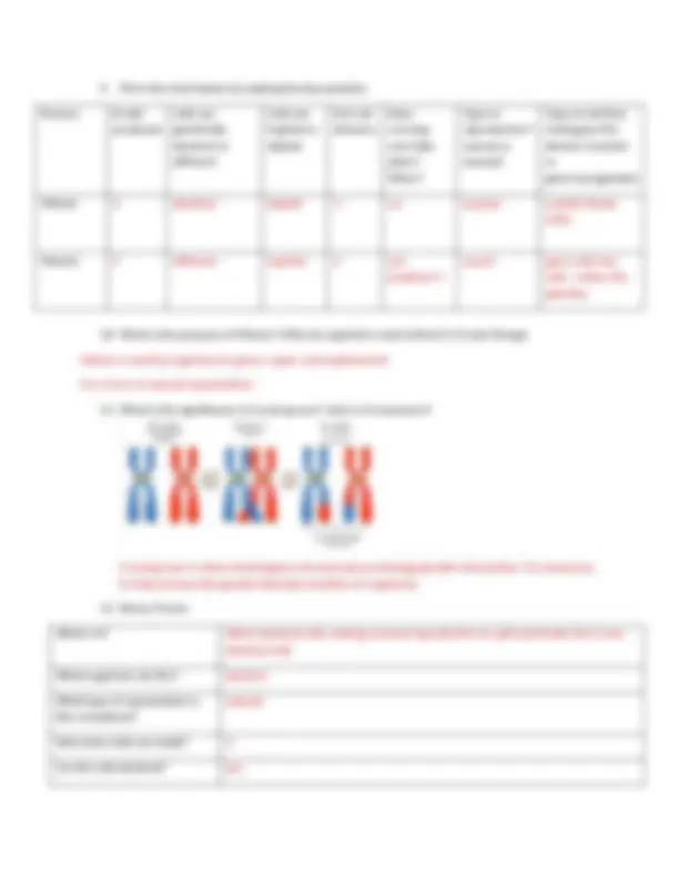 Central Dogma: DNA, RNA, Mitosis, Meiosis, and Protein Synthesis ...