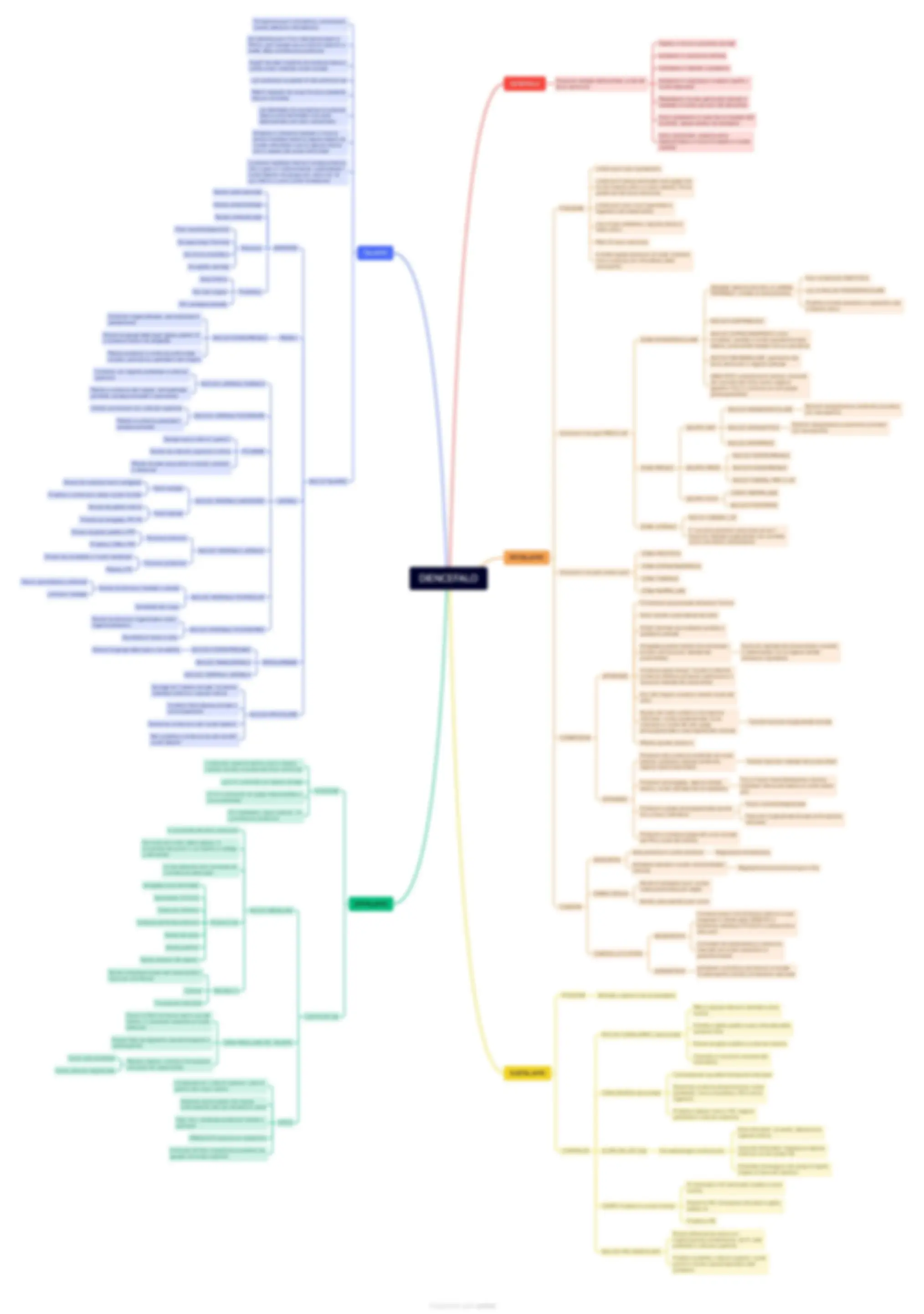 Mappe concettuali di neuroanatomia (fonti Vercelli, Barr, Prometheus ...
