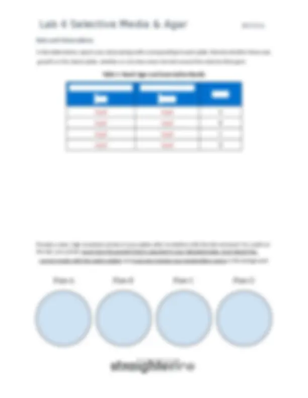 BIO250L ”Lab 4 Selective Media & Agar Straighterline FALL 2023 | Exams ...