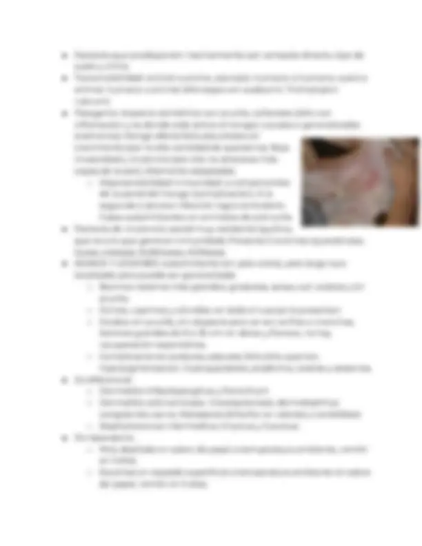 Corynebacterium testadinuris y Trueperella pyogenes en reptiles ...