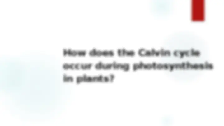 Understanding the Calvin Cycle: Light-Independent Reactions in ...
