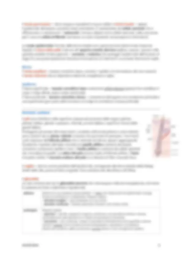 Anatomia umana | Appunti di Anatomia | Docsity