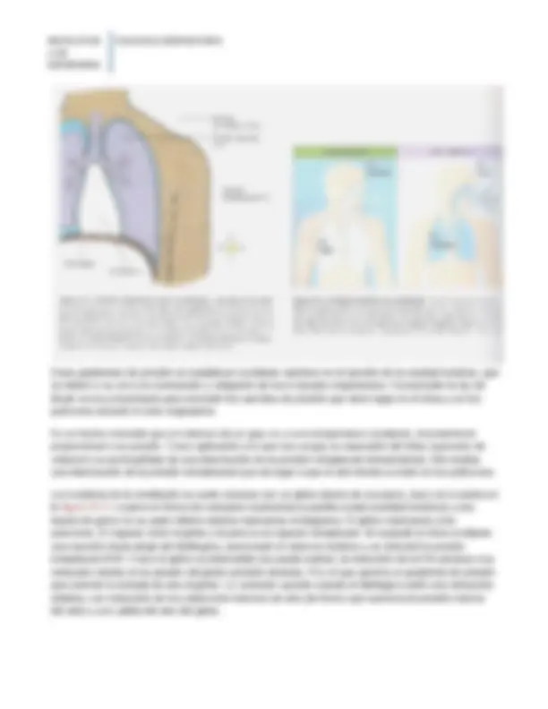 Fisiología Respiratoria: Presión y Movimientos en el Sistema ...