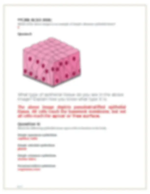 Lab 7: Definitions and Classification of Tissues - Questions and ...