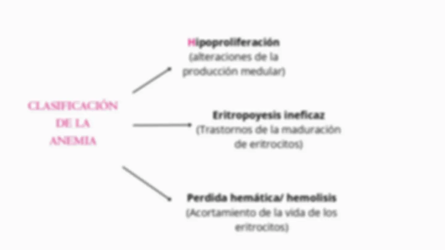 Anemia: Causas, Síntomas y Tratamiento | Diapositivas de Fisiopatología | Docsity