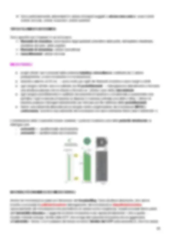 Citoscheletro: Struttura e Funzioni dei Filamenti Proteici nelle ...