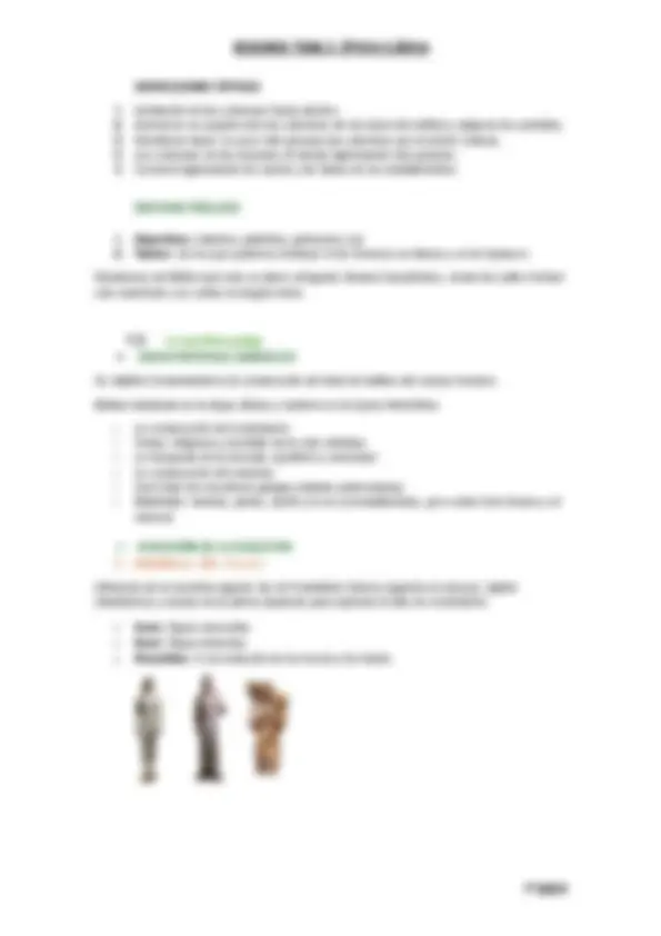 Resumen de la Época Clásica en Grecia y Roma | Apuntes de Historia del ...