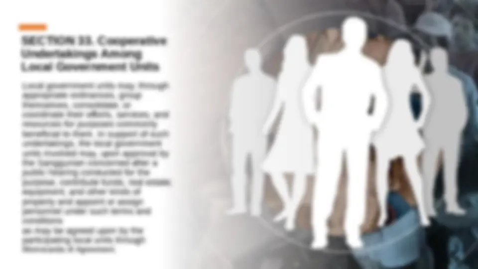 Inter-Local Government Relations: Powers, Roles, and Coordination ...