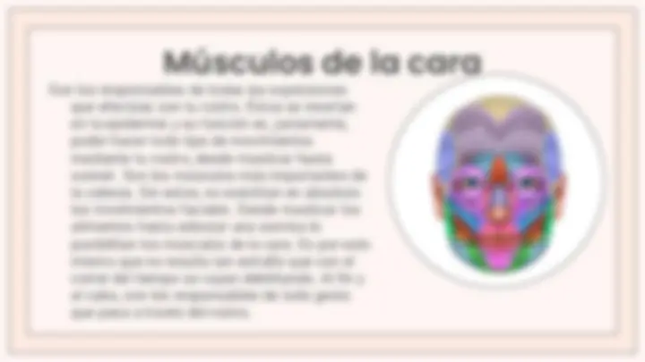 Músculos de la cara | Diapositivas de Anatomía | Docsity