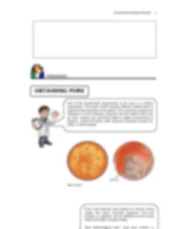 Understanding Pure Culture Isolation and Preservation Techniques in ...