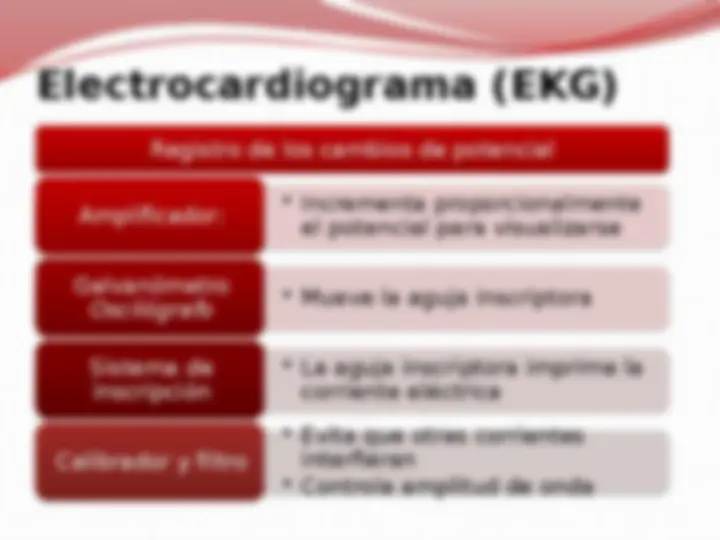 Conceptos Generales del Electrocardiograma (EKG) | Resúmenes de ...