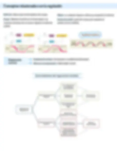 Regulación y control de la homeostasis en el cuerpo humano | Esquemas y ...