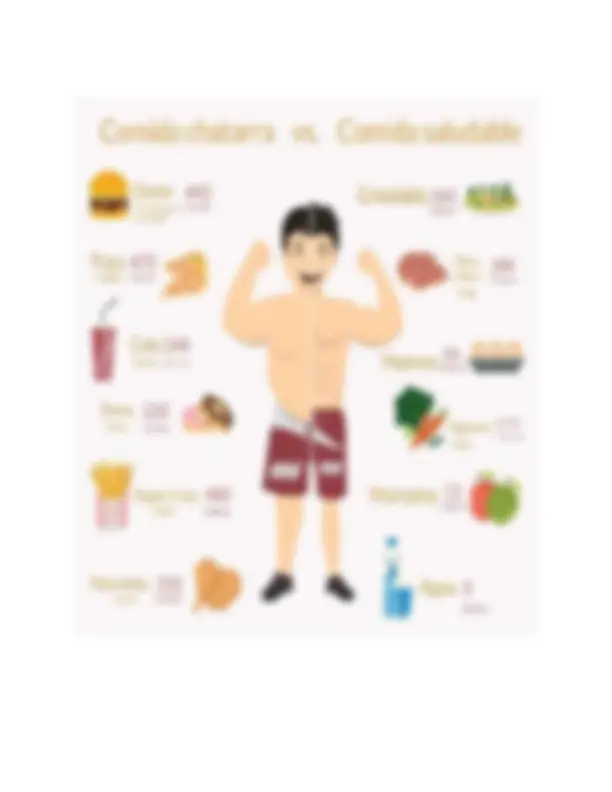 Comida Sana vs Comida Chatarra: Comparación y Diferencias - Prof ...