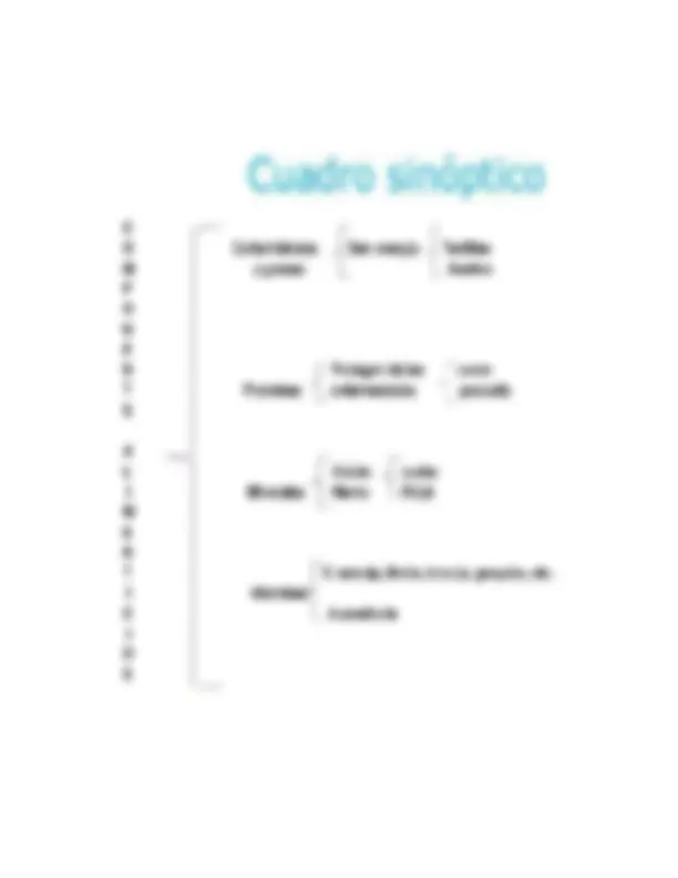 Comida Sana vs Comida Chatarra: Comparación y Diferencias - Prof ...