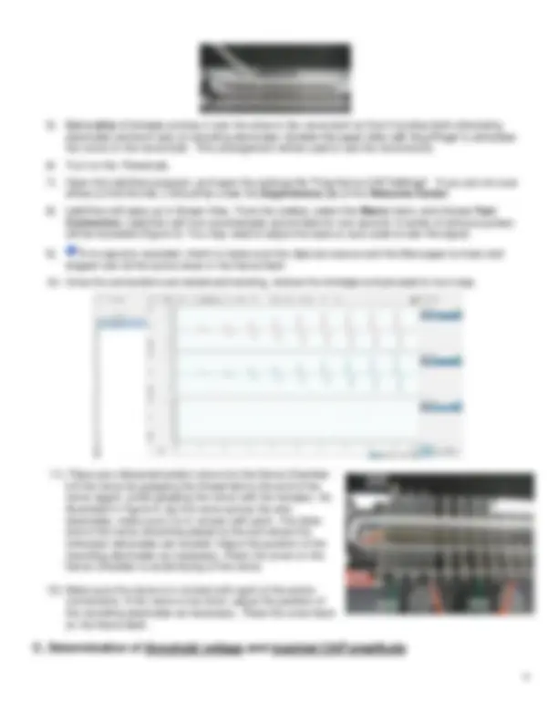 Human physiology: compound action potential lab | Summaries Physiology ...