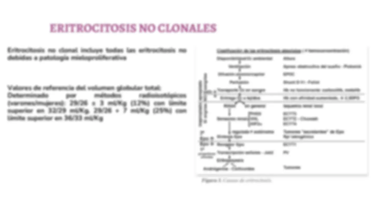 Constantes Corpusculares: VCM, HCM y CHCM - Prof. Rodriguez ...