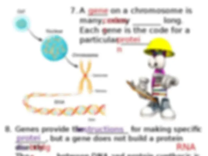 Protein Synthesis: The Genetic Code and Translation | Summaries ...