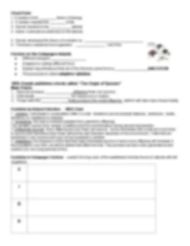 Guided notes Evolution Bio | Schemes and Mind Maps Biology | Docsity