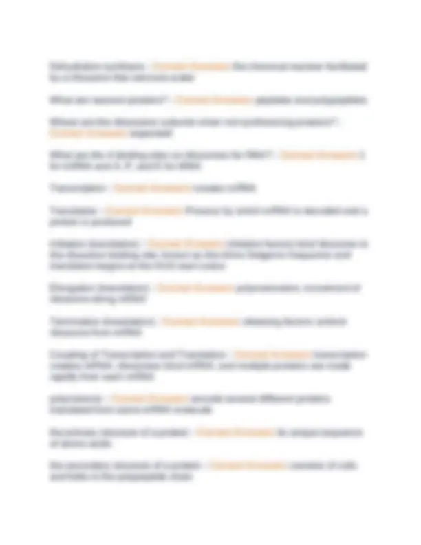 Understanding Protein Synthesis, Regulation, and Mutation: A ...