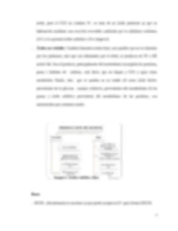 Equilibrio ácido-base y la ecuación de Henderson-Hasselbalch | Resúmenes de Fisiología Humana ...