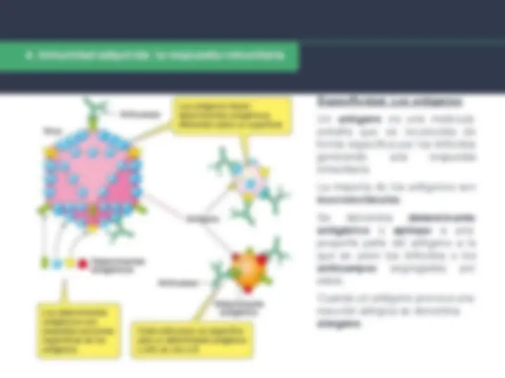 El sistema inmunitario: conceptos y trastornos | Diapositivas de Biología | Docsity