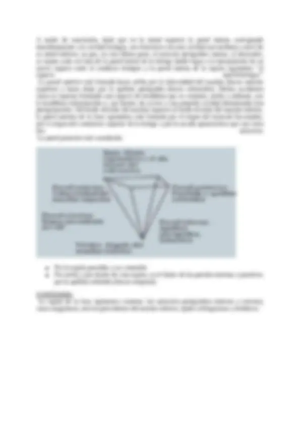 REGION CIGOMATICA COMPONENTES | Esquemas y mapas conceptuales de ...