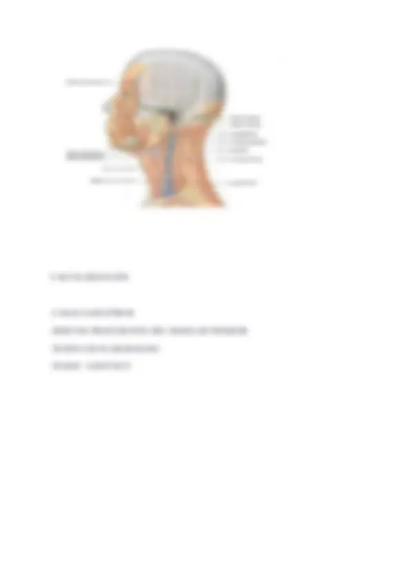 REGION CIGOMATICA COMPONENTES | Esquemas y mapas conceptuales de ...