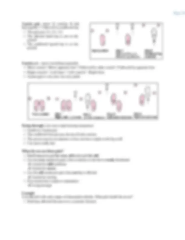 Mark Klimek Lectures 1 to 12: The Guide.Latest (100% Best,Graded A ...