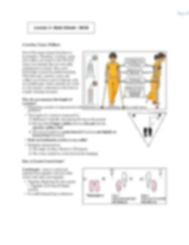 Mark Klimek Lectures 1 to 12: The Guide.Latest (100% Best,Graded A ...