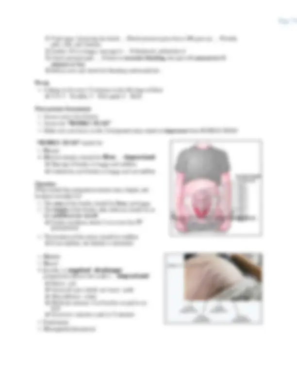 Mark Klimek Lectures 1 to 12: The Guide.Latest (100% Best,Graded A ...