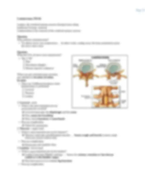 Mark Klimek Lectures 1 to 12: The Guide.Latest (100% Best,Graded A ...