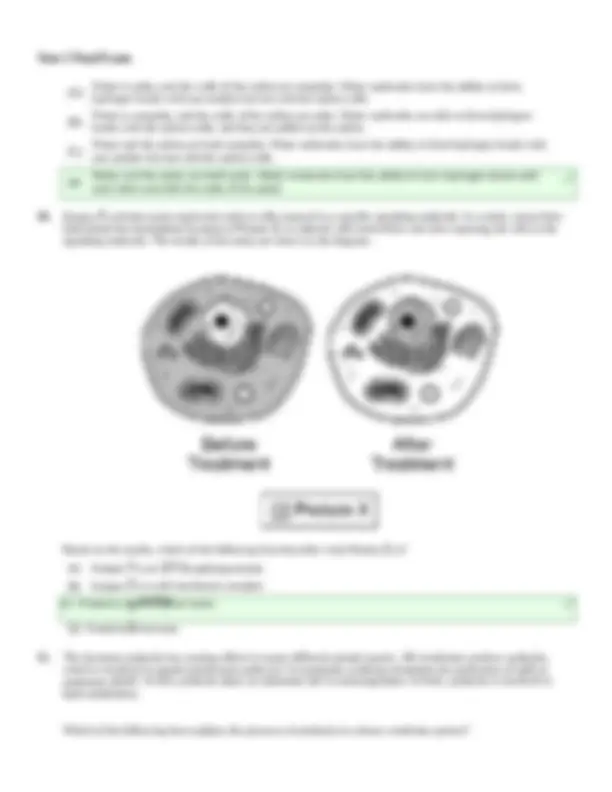 AP BIOLOGY Final Exam (60 Questions and Answers) | Exams Biology | Docsity