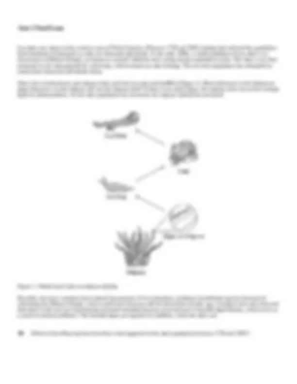 AP BIOLOGY Final Exam (60 Questions and Answers) | Exams Biology | Docsity