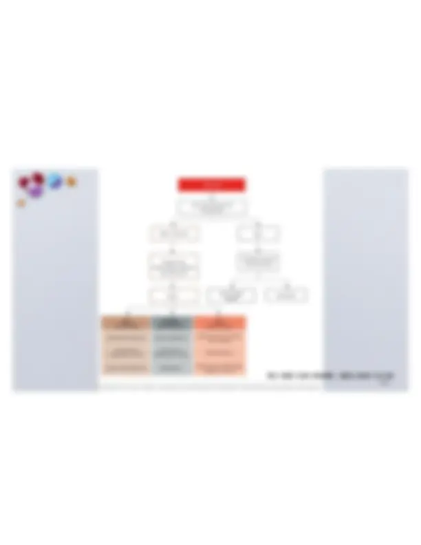 Interpretación de la Biometría Hemática | Diapositivas de Clínica ...