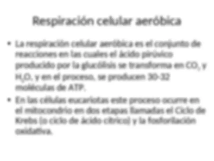 Respiración celular: Entendiendo los procesos clave y sus aplicaciones ...