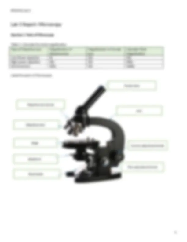 BIOS 242 Week 2 Assignment; Lab 3 of 14 Onsite; Microscopy Observation of Cells | Assignments ...