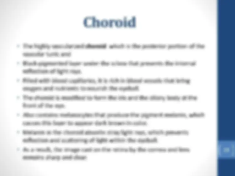 Anatomy of eye Presentation | Slides Nursing | Docsity