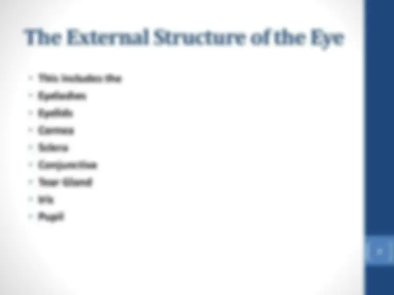 Anatomy of eye Presentation | Slides Nursing | Docsity