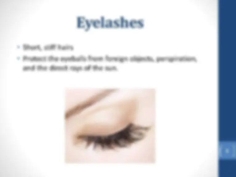 Anatomy of eye Presentation | Slides Nursing | Docsity